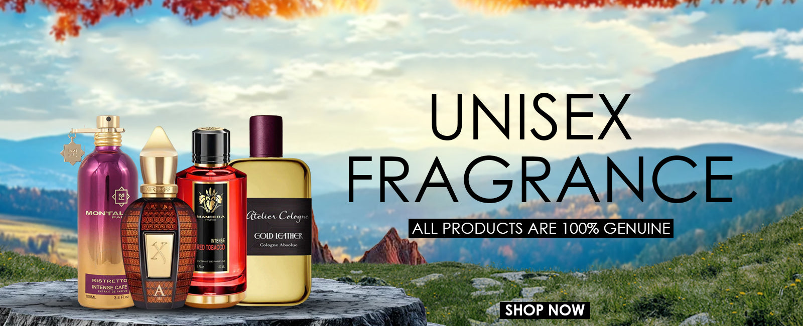 Shop Top 60+ Perfume Brands in Pakistan | – The Perfume Club Pakistan